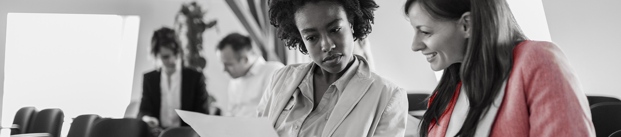 Our Portfolio - Liberate Learning